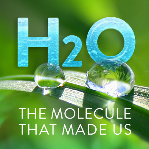 H2O: THE MOLECULE THAT MADE US | PBS LearningMedia