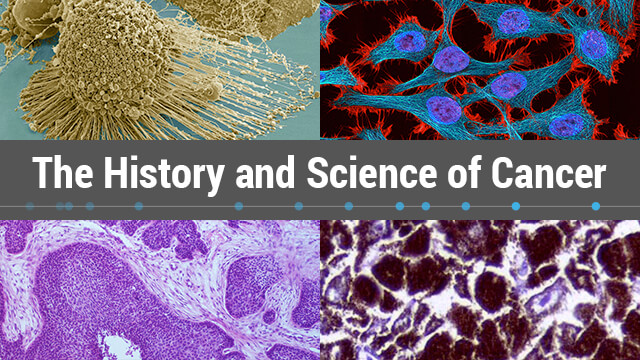 History & Culture | History and Science of Cancer | PBS LearningMedia